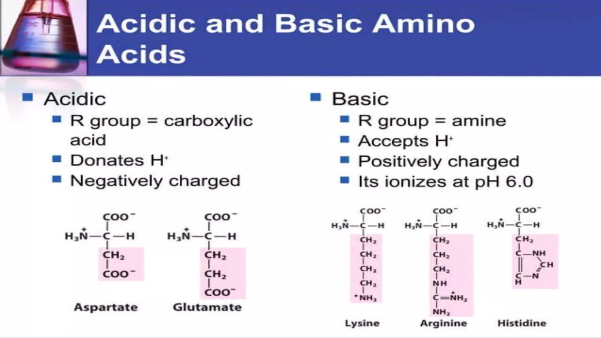 Amino acid topic 1.pptx
