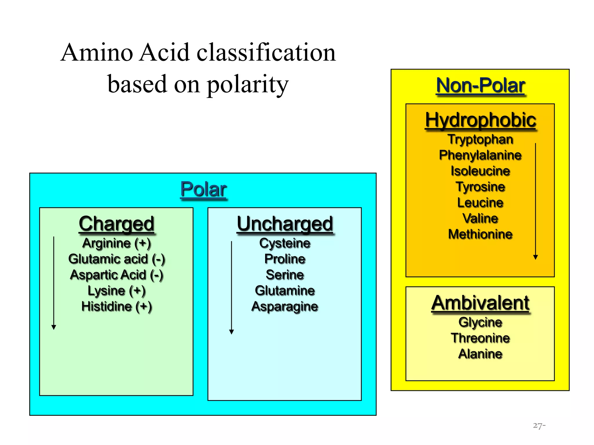 Amino acid types by Mohammadali Kharodiya | PPT | Free Download