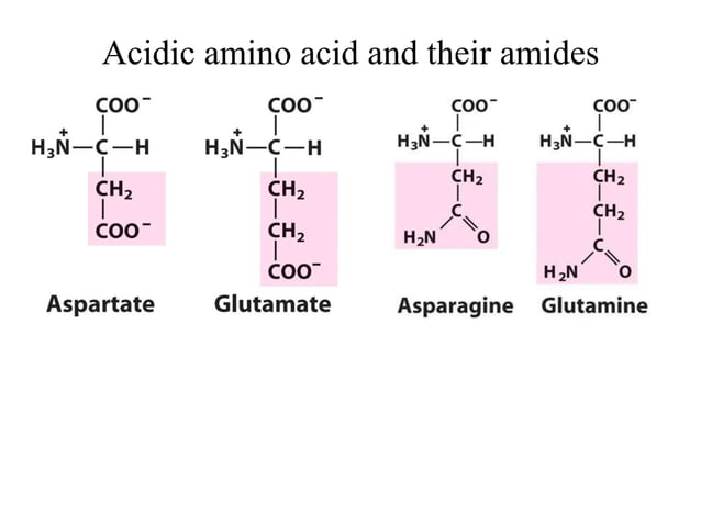 Amino acid types by Mohammadali Kharodiya | PPT