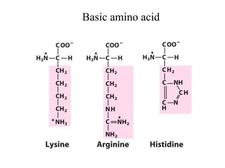 Amino acid types by Mohammadali Kharodiya | PPT