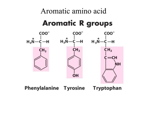 Amino acid types by Mohammadali Kharodiya | PPT