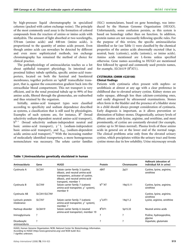 Aminoacidurias_Clinical_and_molecular_aspects.pdf