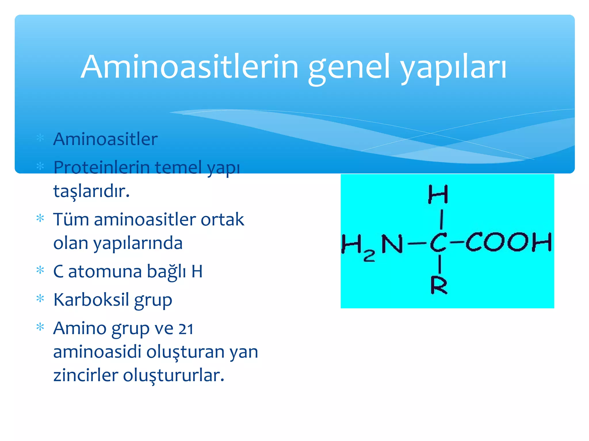 Aminoasitler | PPT