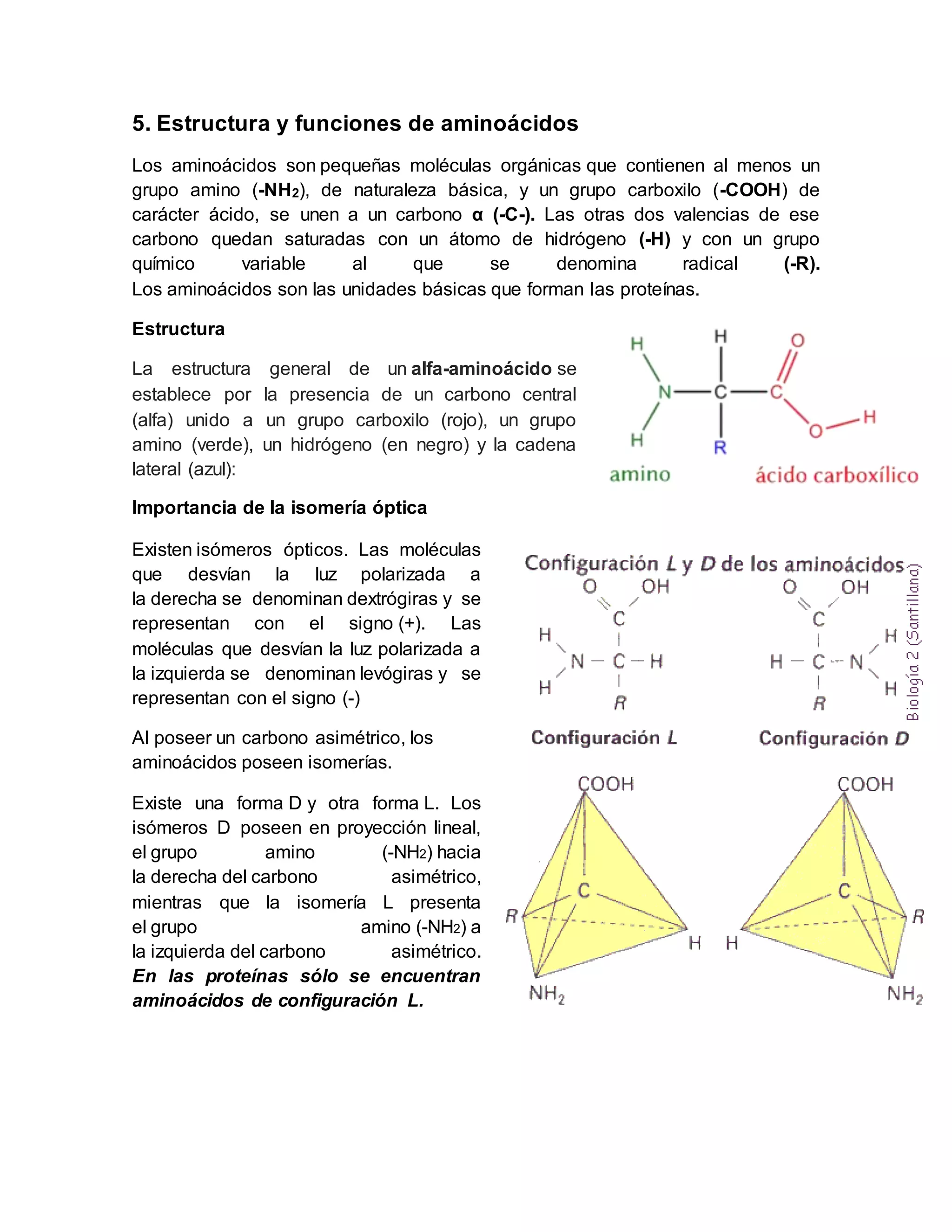 Aminoácidos | DOCX