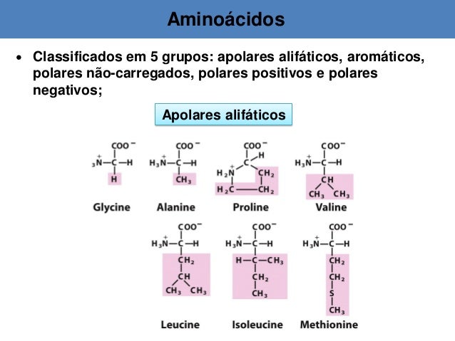 Aminoácidos 1