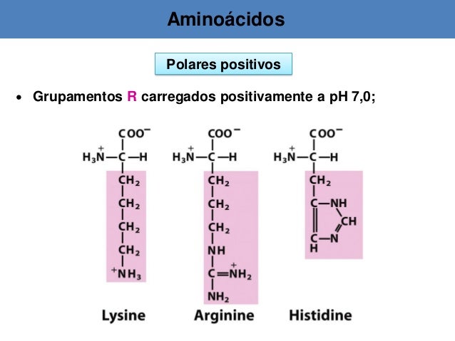 Aminoácidos 1