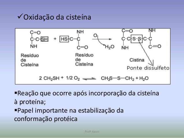 Aminoácidos e proteínas