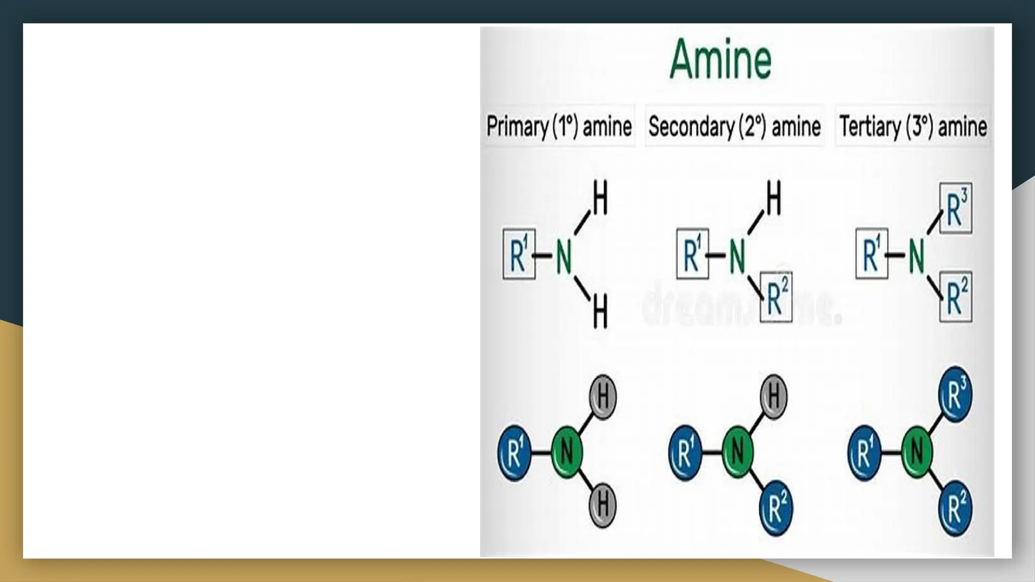 amino compounds.pptx class 12_Govinda Pathak | PPT