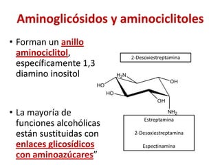 Aminoglucósidos | PPS
