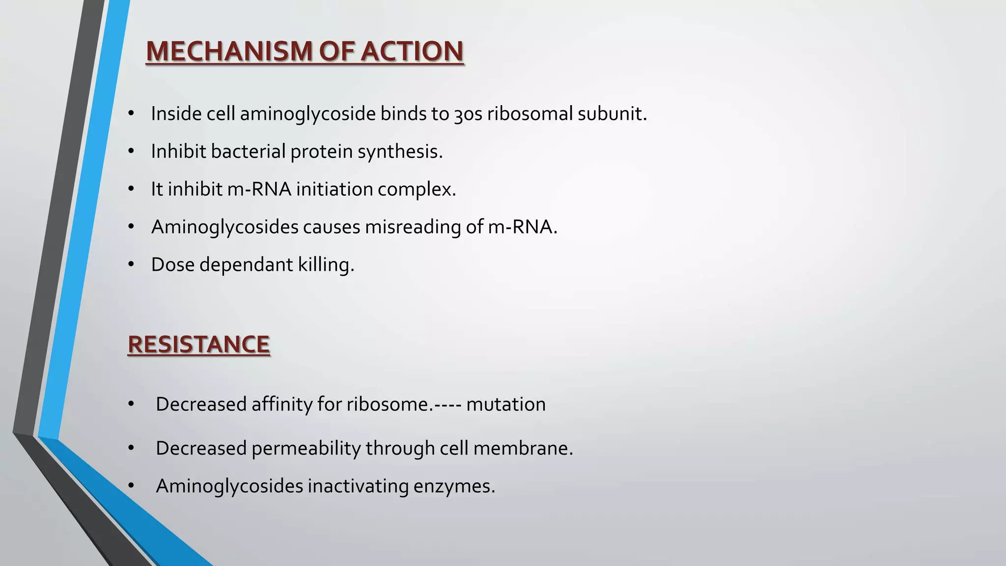 Aminoglycoside | PPT