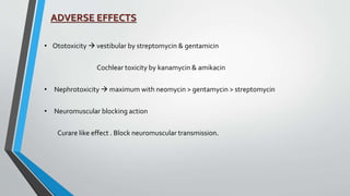 Aminoglycoside | PPTX