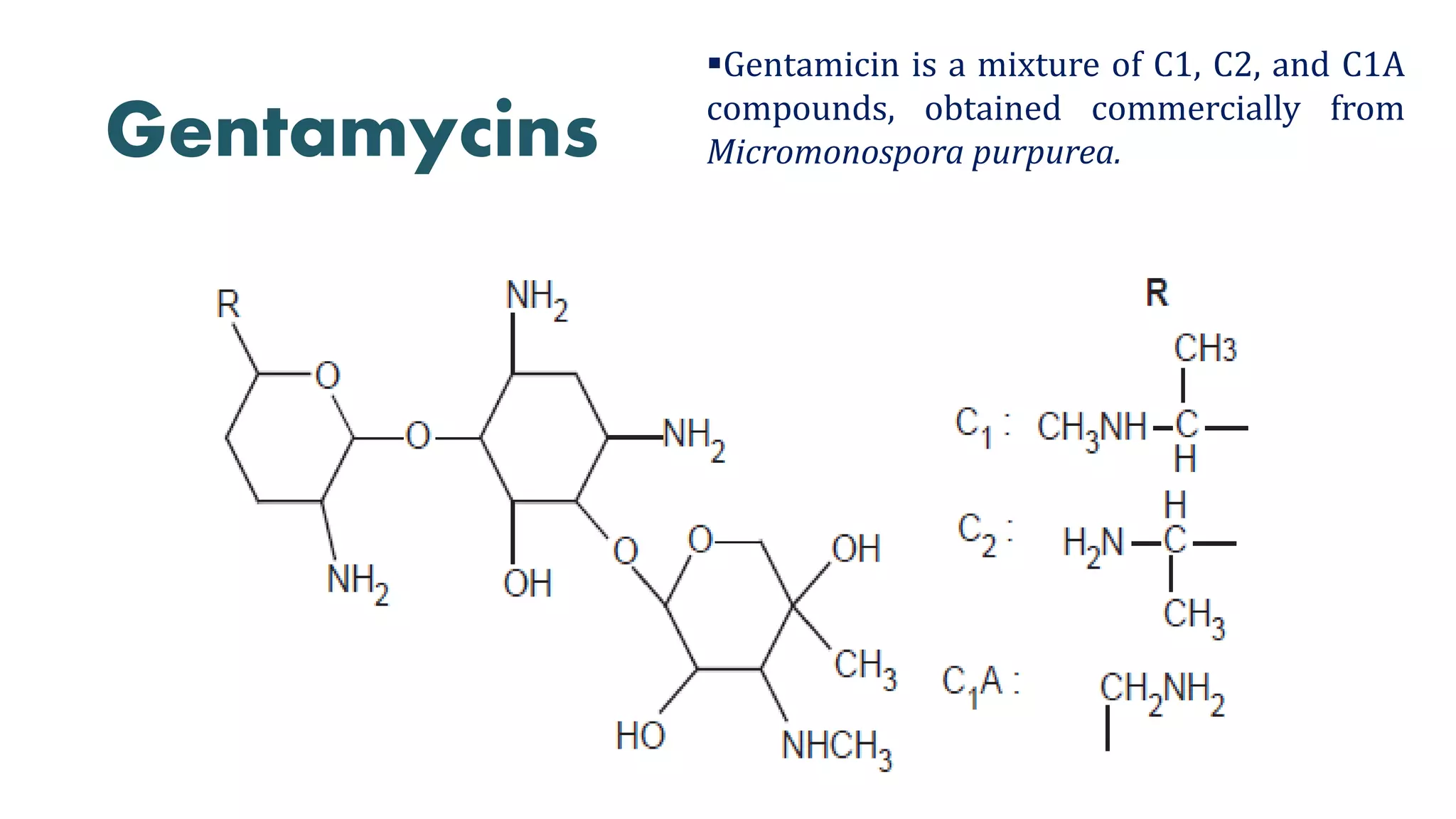 Aminoglycoside antibiotics | PDF