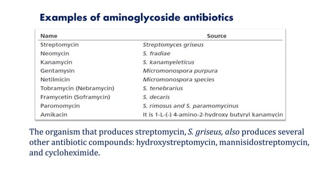 Aminoglycoside antibiotics | PDF