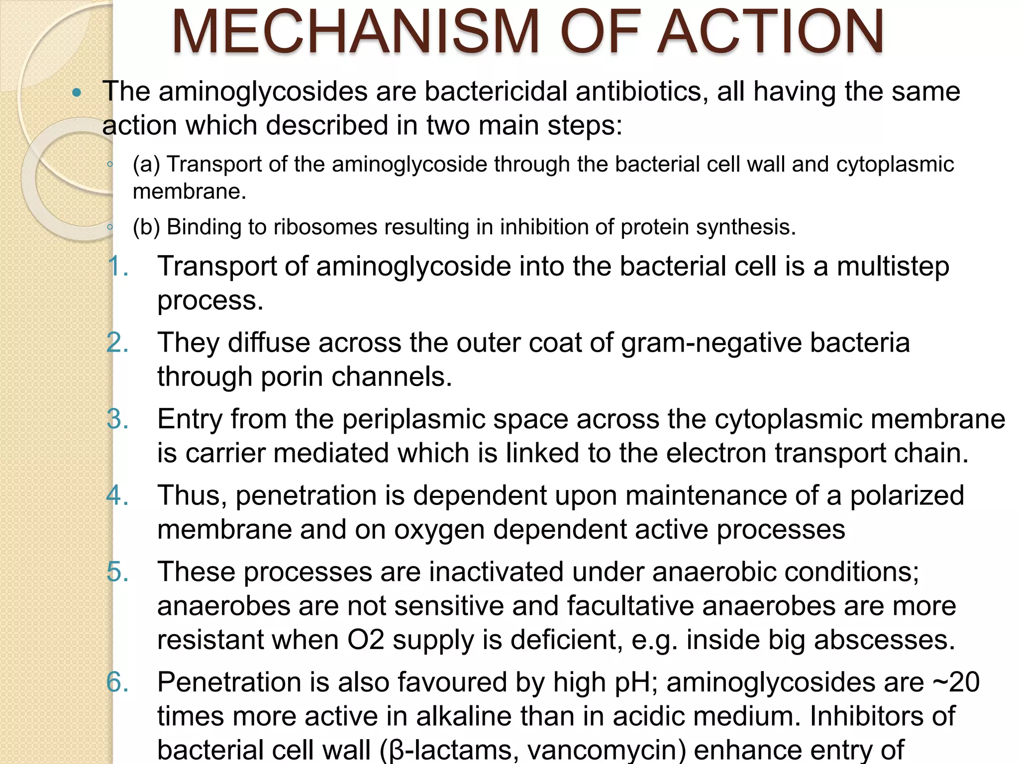 Aminoglycoside and macrolide antibiotics | PPTX