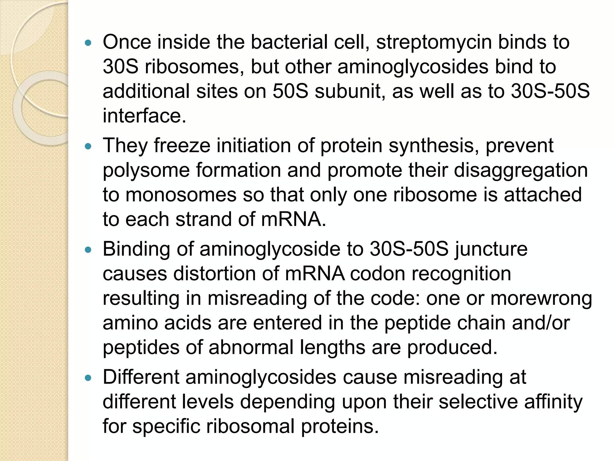 Aminoglycoside and macrolide antibiotics | PPTX
