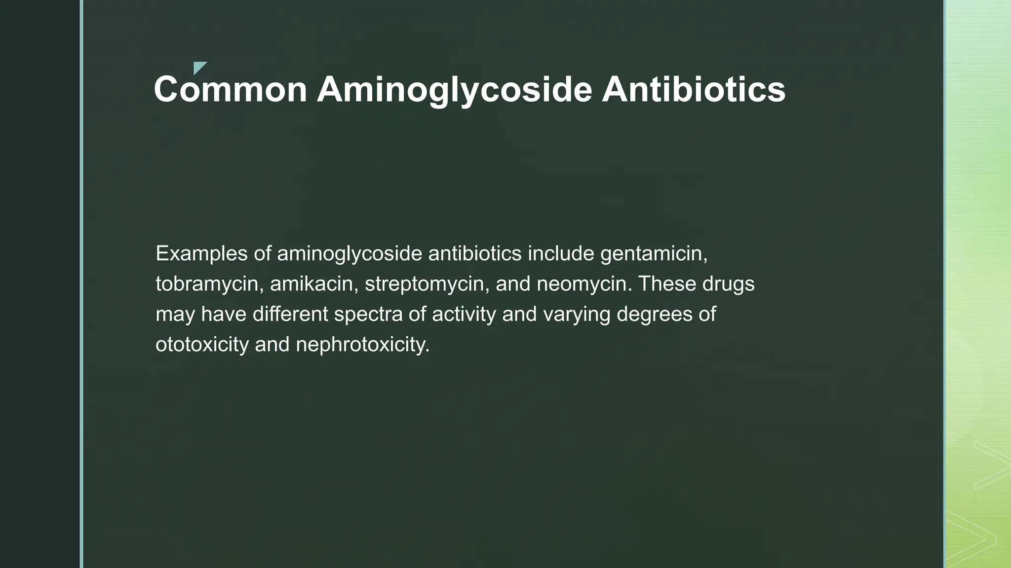 Aminoglycoside antibiotics.pptx
