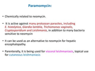 Aminoglycoside by sumit | PPTX