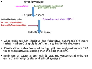 Aminoglycoside by sumit | PPTX