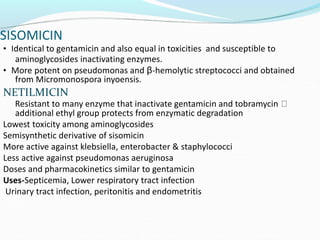 aminoglycosideppt-160110093602.pptx