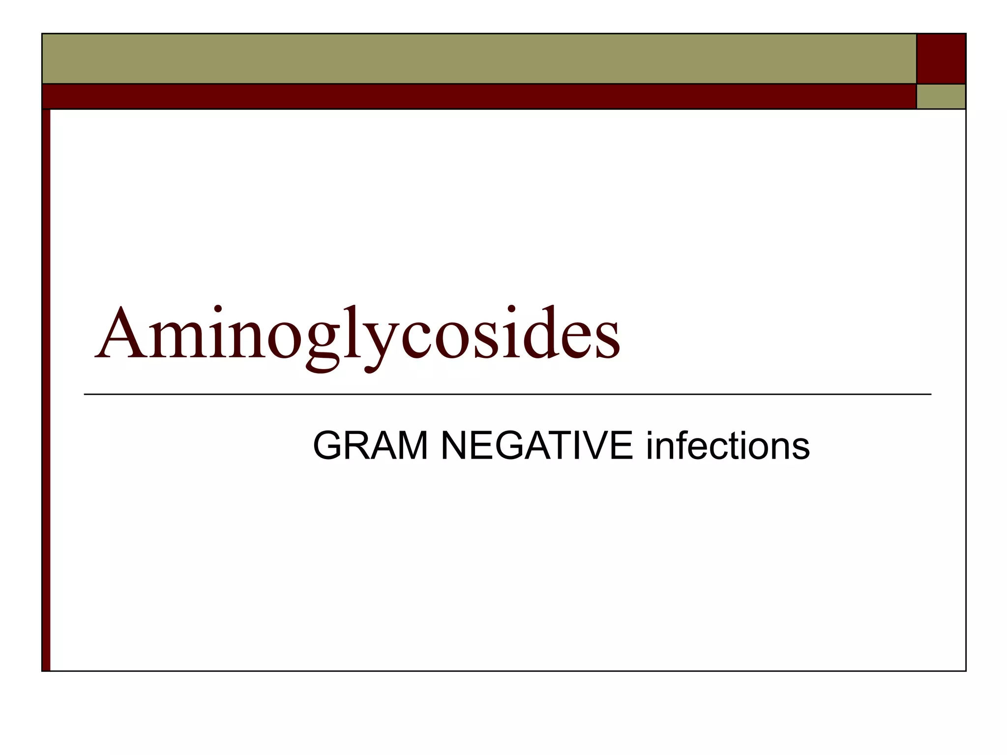 Aminoglycosides | PPT | Pharmaceutical Drugs | Medical Health