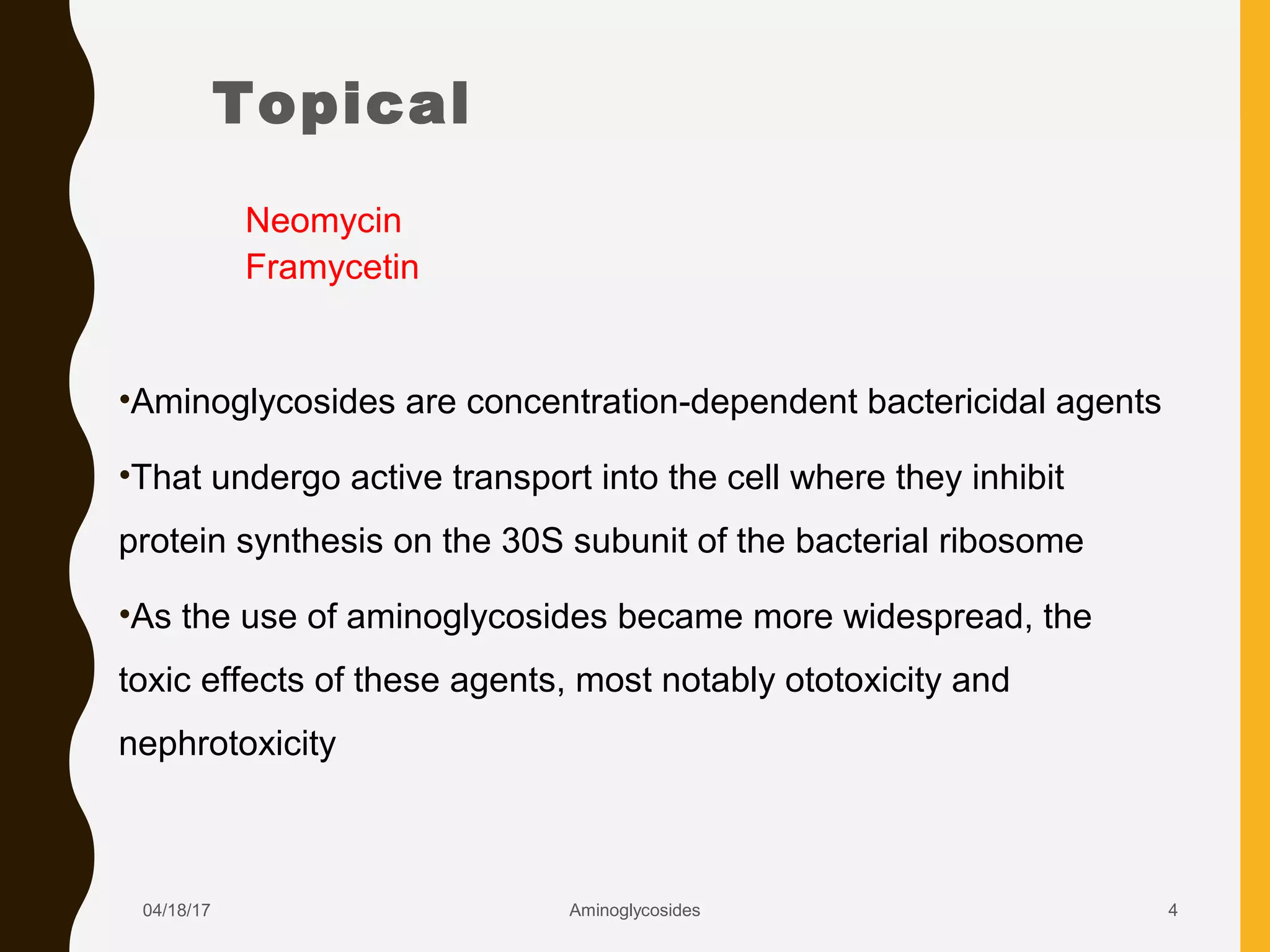 mechanism of amino glycosides in nephro and oto toxicity | PPT