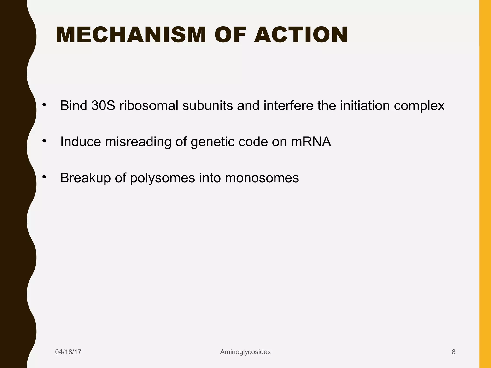mechanism of amino glycosides in nephro and oto toxicity | PPT