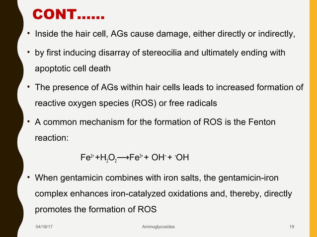 mechanism of amino glycosides in nephro and oto toxicity | PPT