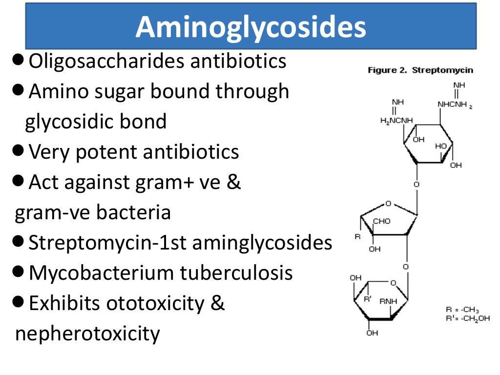Aminoglycosides and their uses.
