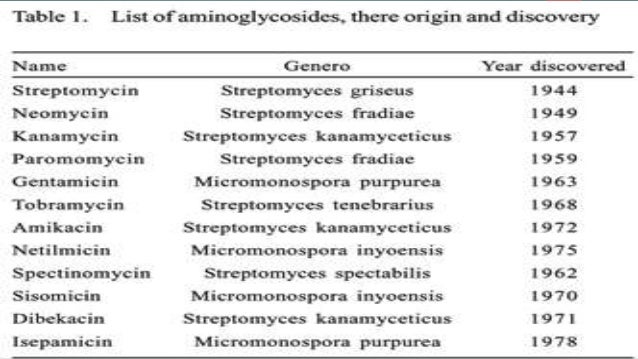 Aminoglycosides Antibiotic's
