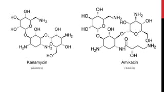 Aminoglycosides | PPTX