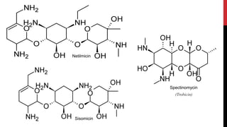 Aminoglycosides | PPTX