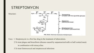 Aminoglycosides | PPTX