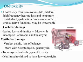 Aminoglycosides | PPTX