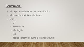 Aminoglycosides | PPTX