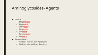Aminoglycosides | PPTX