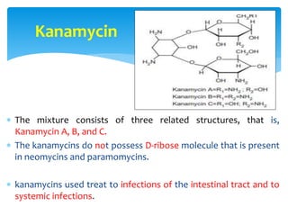 Antibiotics - Aminoglycosides | PPTX