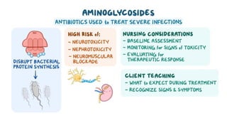 Aminoglycosides Antibiotics | PDF