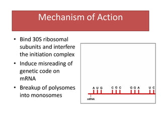 aminoglycosides.pptx
