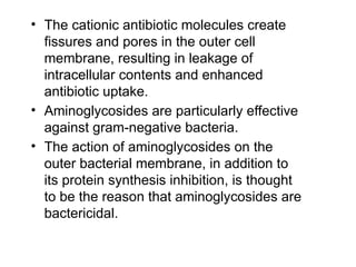 AMINOGLYCOSIDES. Consists of different types | PPT