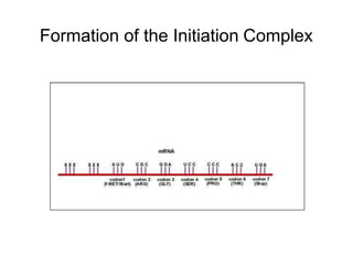 AMINOGLYCOSIDES | PPTX