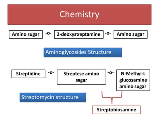 PHARMACOLOGY OF AMINOGLYCOSIDE ANTIBIOTICS | PPT