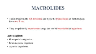 Aminoglycosides and Macrolides | PPTX