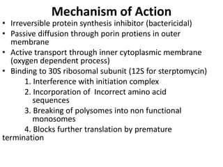 AMINOGLYCOSIDES protein synthesis inhibitor | PPT