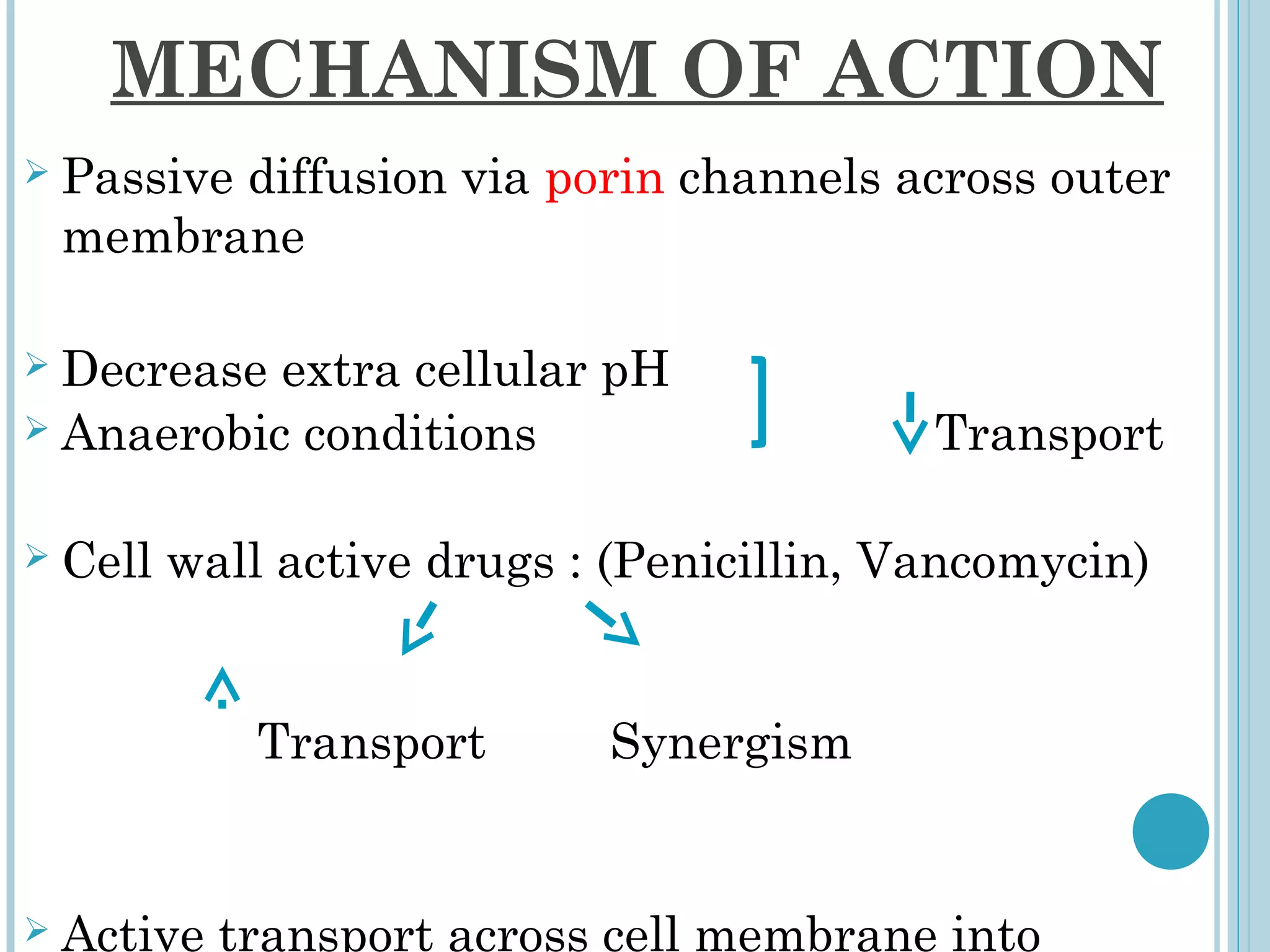 Aminoglycosides | PPT