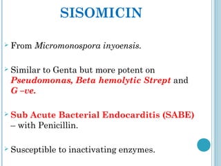 Aminoglycosides | PPT