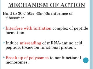 Aminoglycosides | PPT