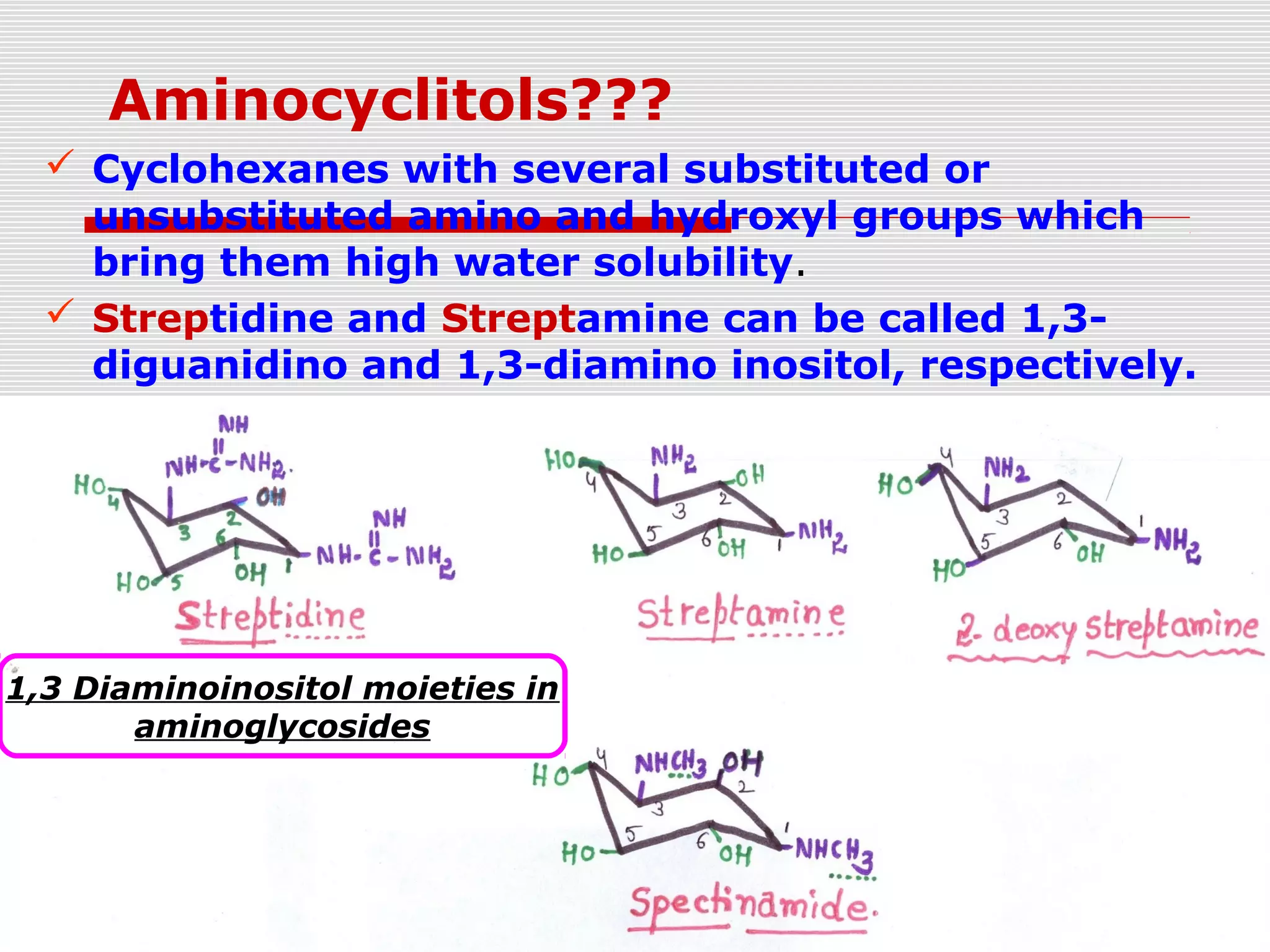 Aminoglycosides(medicinal chemistry by p.ravisankar) | PPT