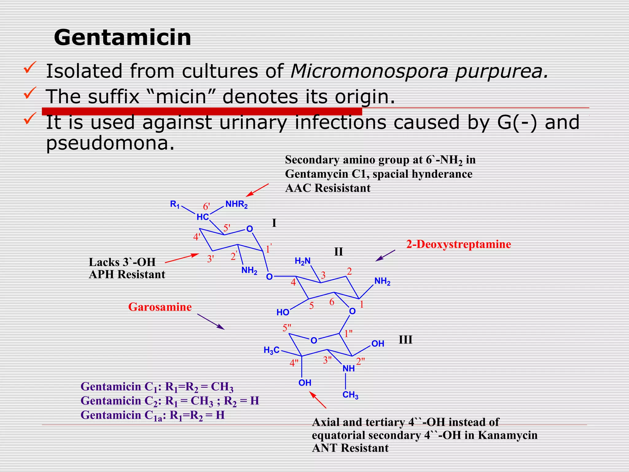 Aminoglycosides(medicinal chemistry by p.ravisankar) | PPT