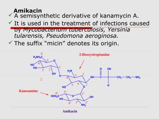 Aminoglycosides(medicinal chemistry by p.ravisankar) | PPT
