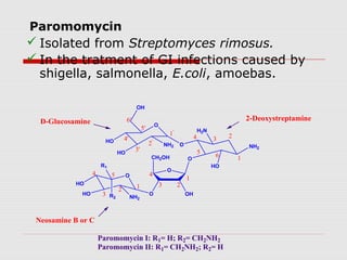 Aminoglycosides(medicinal chemistry by p.ravisankar) | PPT
